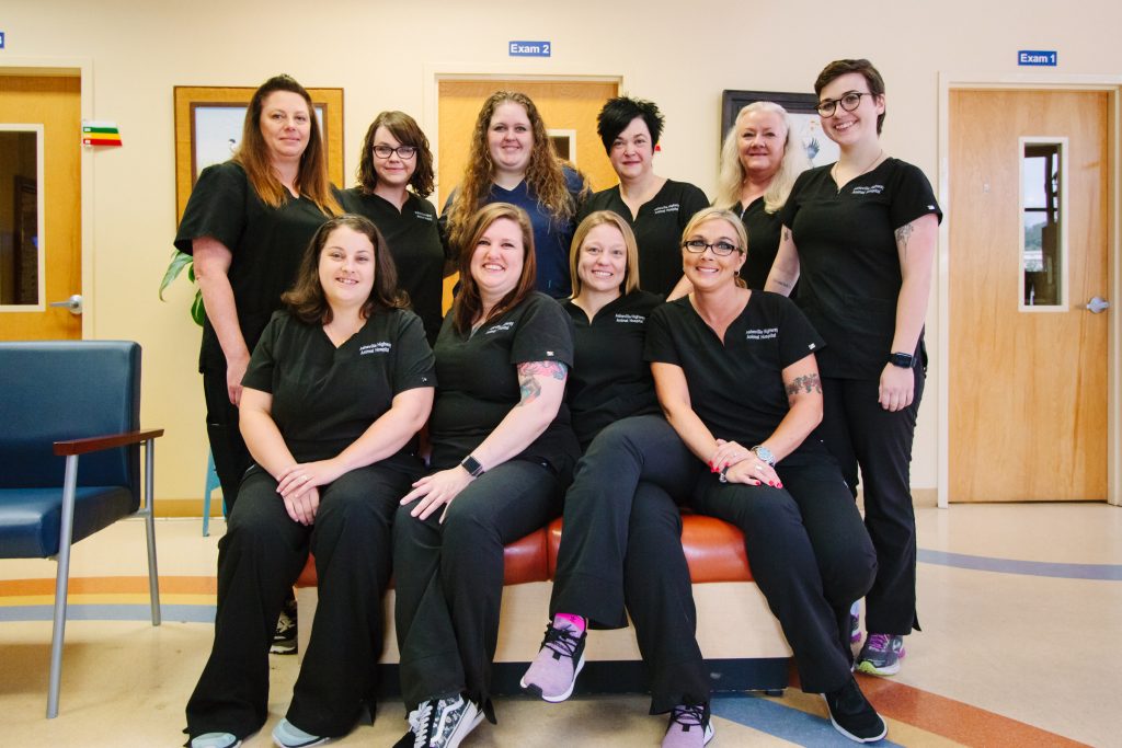 Asheville Highway Animal Hospital, LLC — reception-group