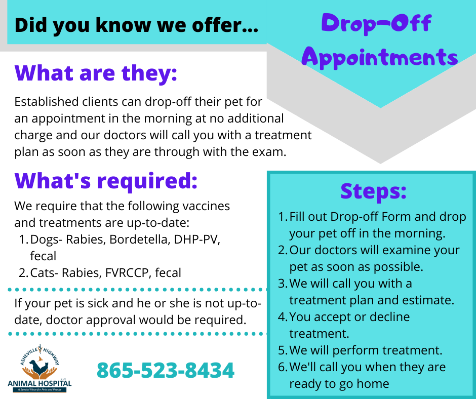 Asheville Highway Animal Hospital, LLC — A special place for Pets and People