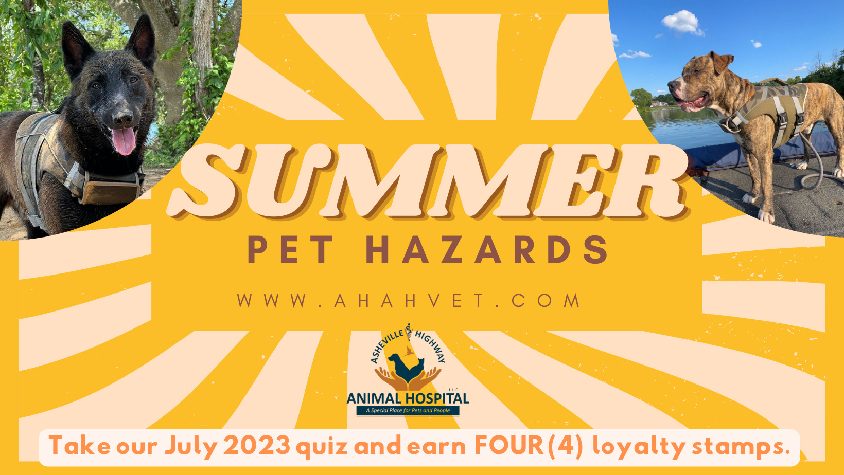 Asheville Highway Animal Hospital, LLC — Summer Hazards for Pets 2023